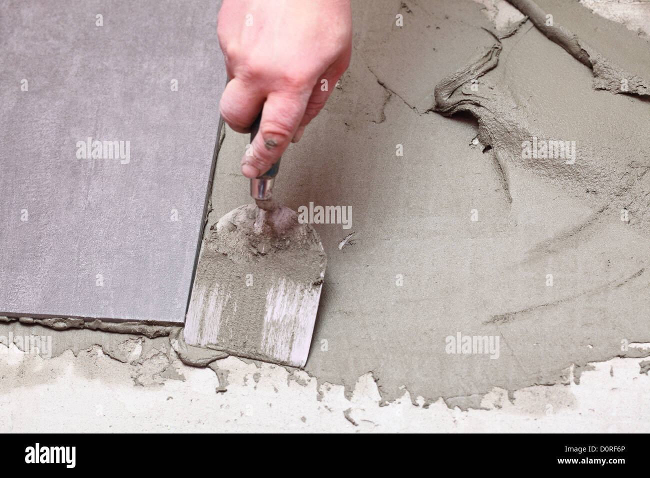 Man Construction worker is tiling at home, tile floor adhesive Stock ...