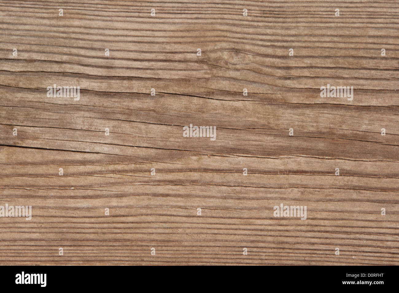 Old log close-up. Wooden background Stock Photo - Alamy