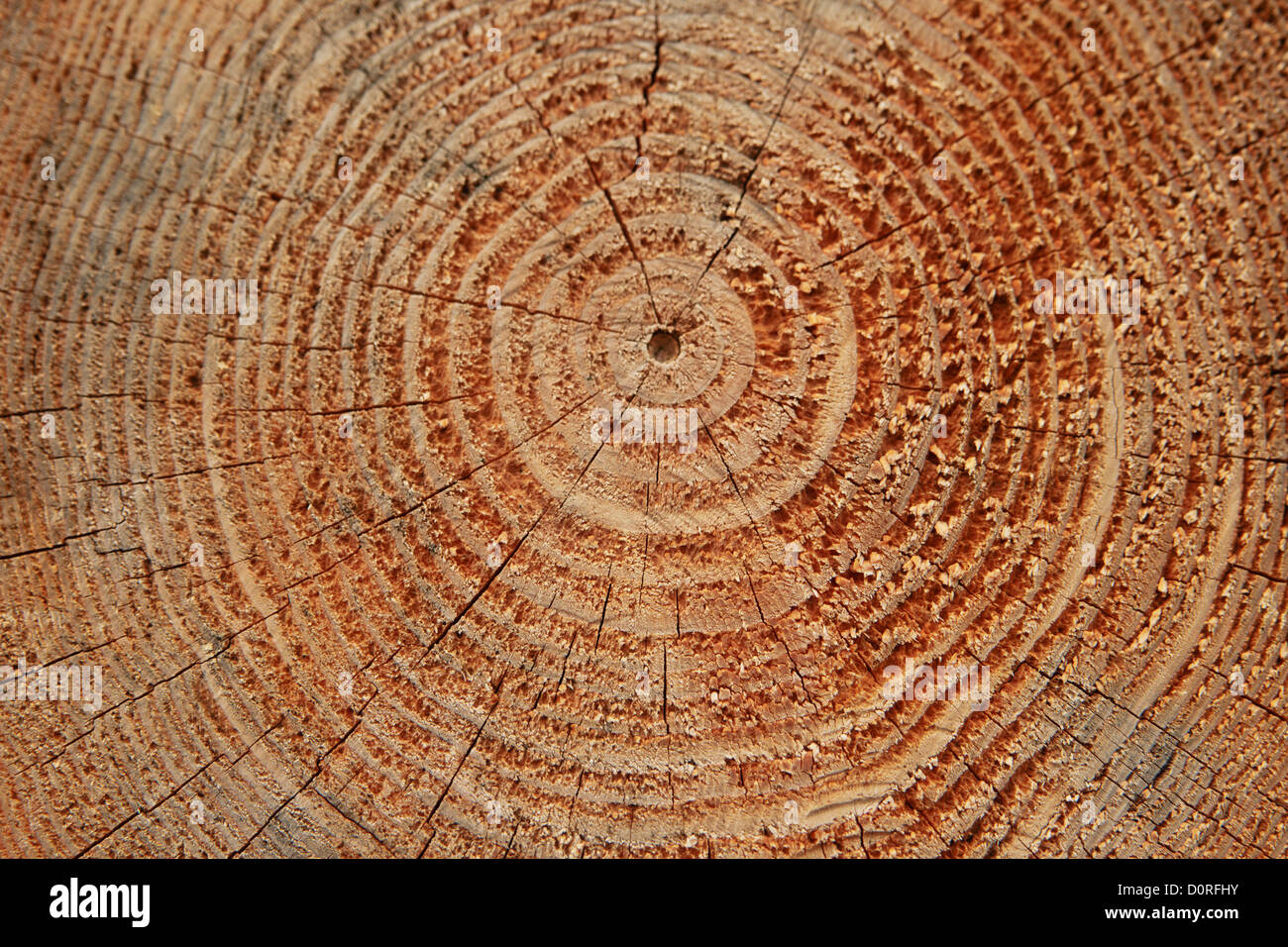 Wood rings hi-res stock photography and images - Alamy