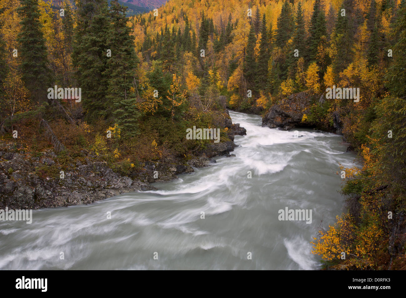 Autumn colors and Six Mile Creek, Chugach National Forest, Alaska Stock ...