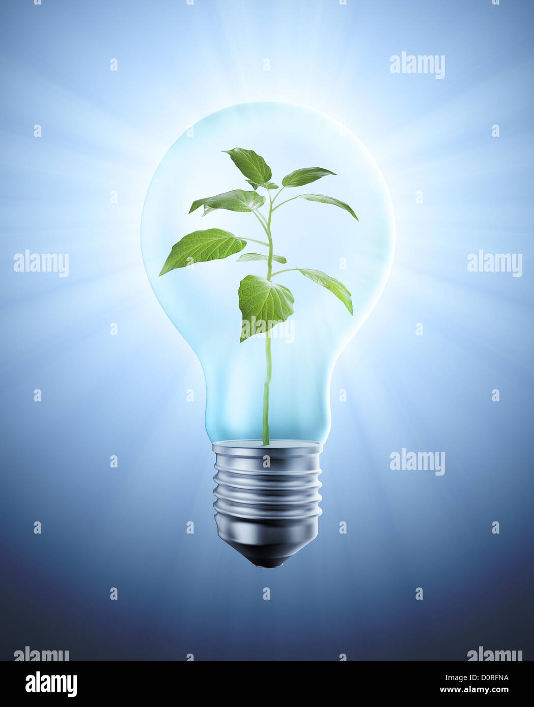 Plant inside a bulb Stock Photo - Alamy