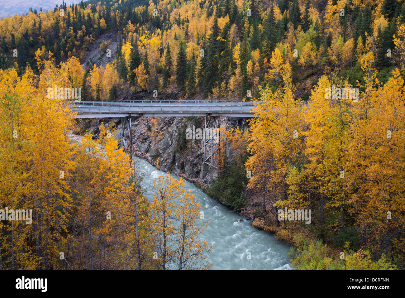 Autumn colors at Canyon Creek, Chugach National Forest, Alaska Stock ...