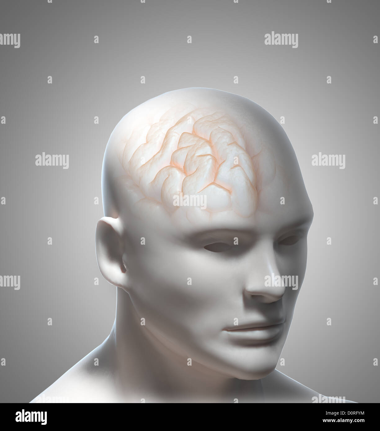Human intelligence hi-res stock photography and images - Alamy