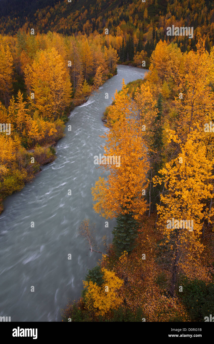 Autumn colors at Canyon Creek, Chugach National Forest, Alaska Stock ...