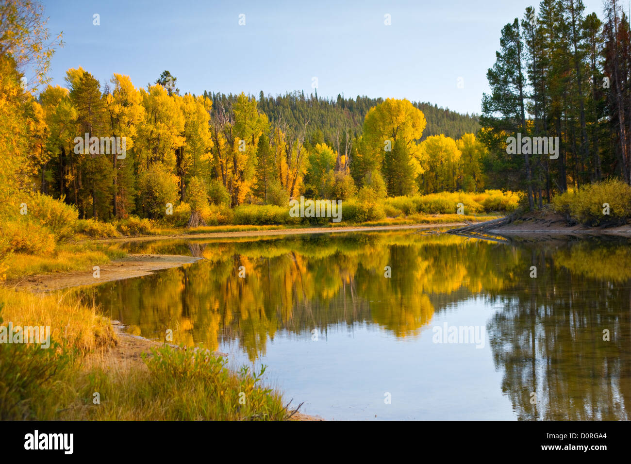 Autumn reflections at a secluded pond in Grand Tet Stock Photo - Alamy
