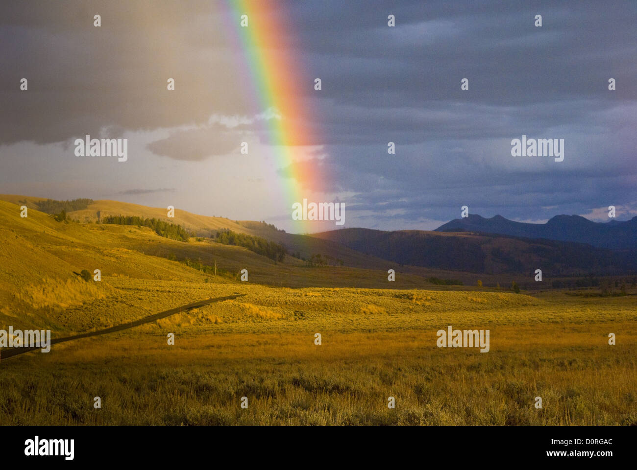 Rainbow in Yellowstone Stock Photo - Alamy