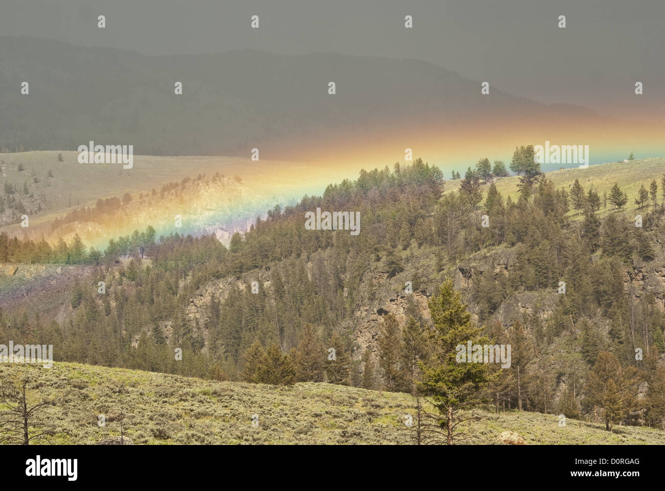 Yellowstone canyon daytime hi-res stock photography and images - Alamy