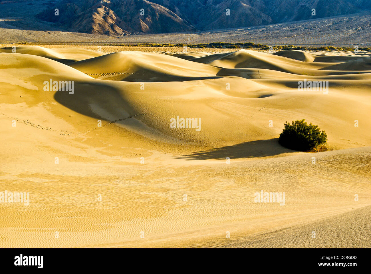 Death valley sand hi-res stock photography and images - Alamy