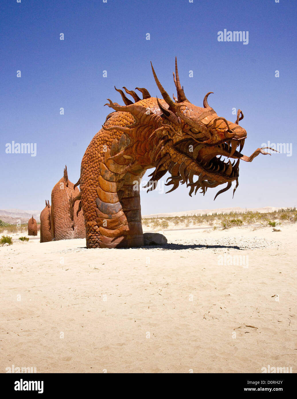 Sand Dragon in the Desert Stock Photo - Alamy