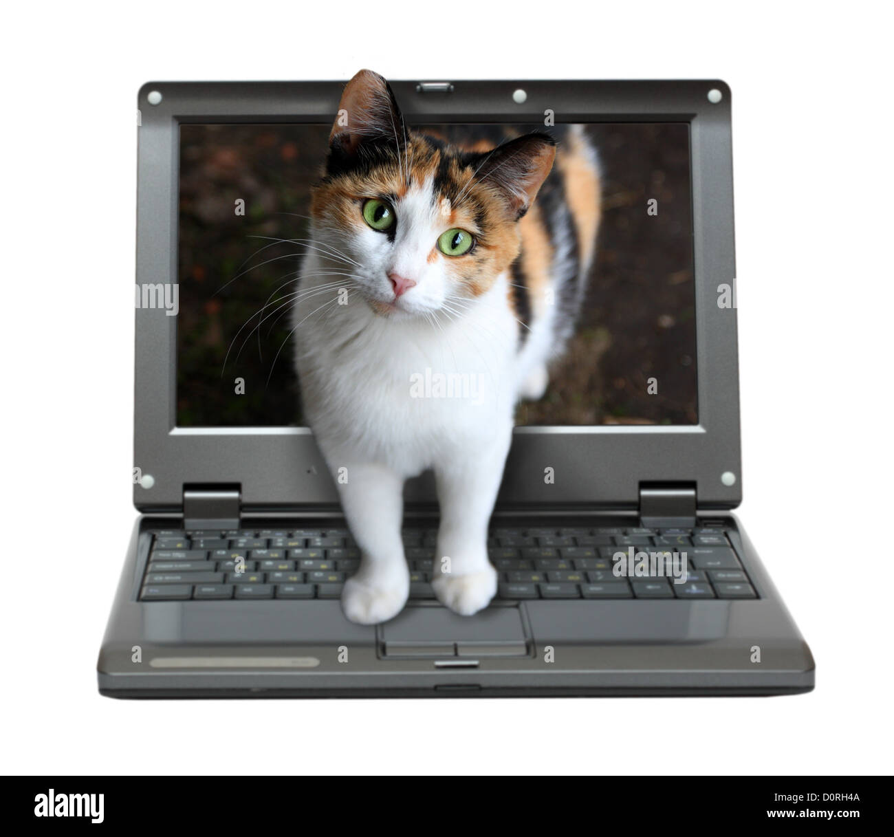 Small white laptop netbook notebook hi-res stock photography and images ...