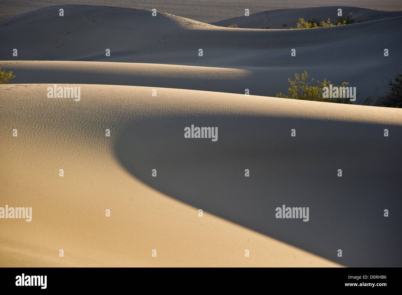 Sinuous ripples hi-res stock photography and images - Alamy