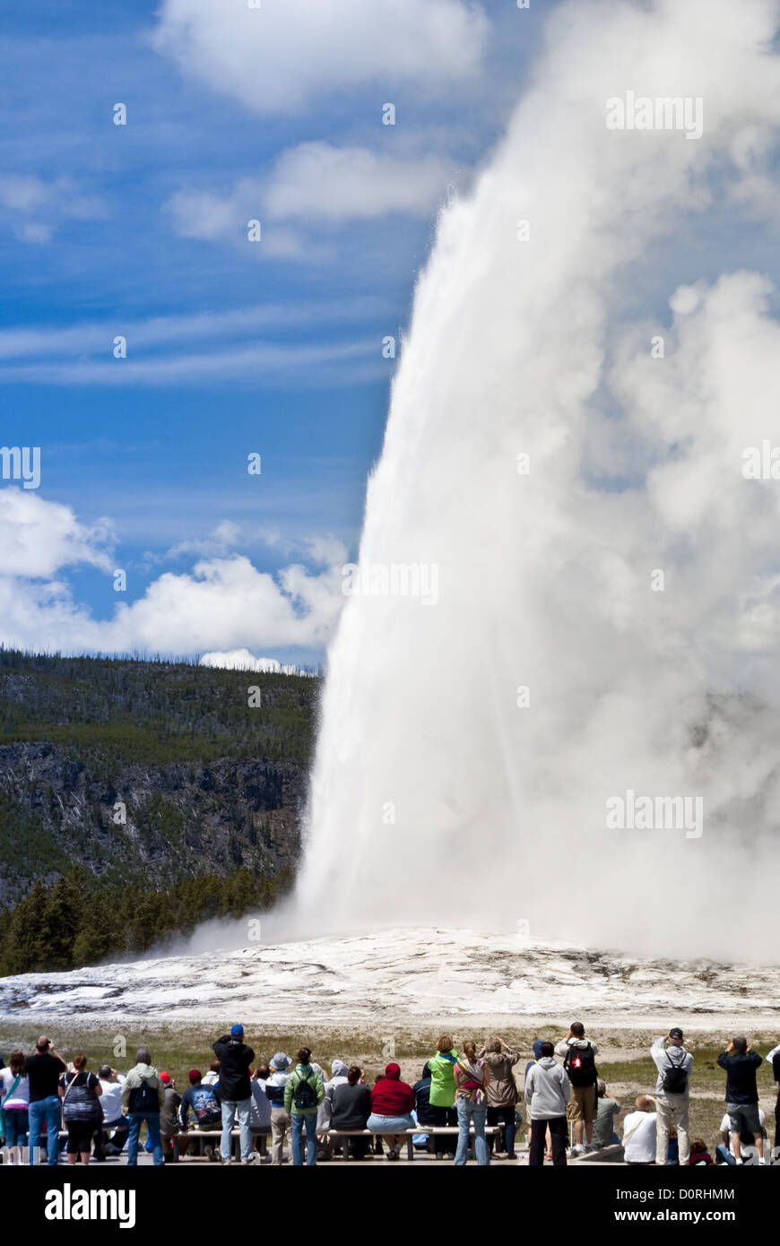 Old Faithful Geyser Stock Photo - Alamy