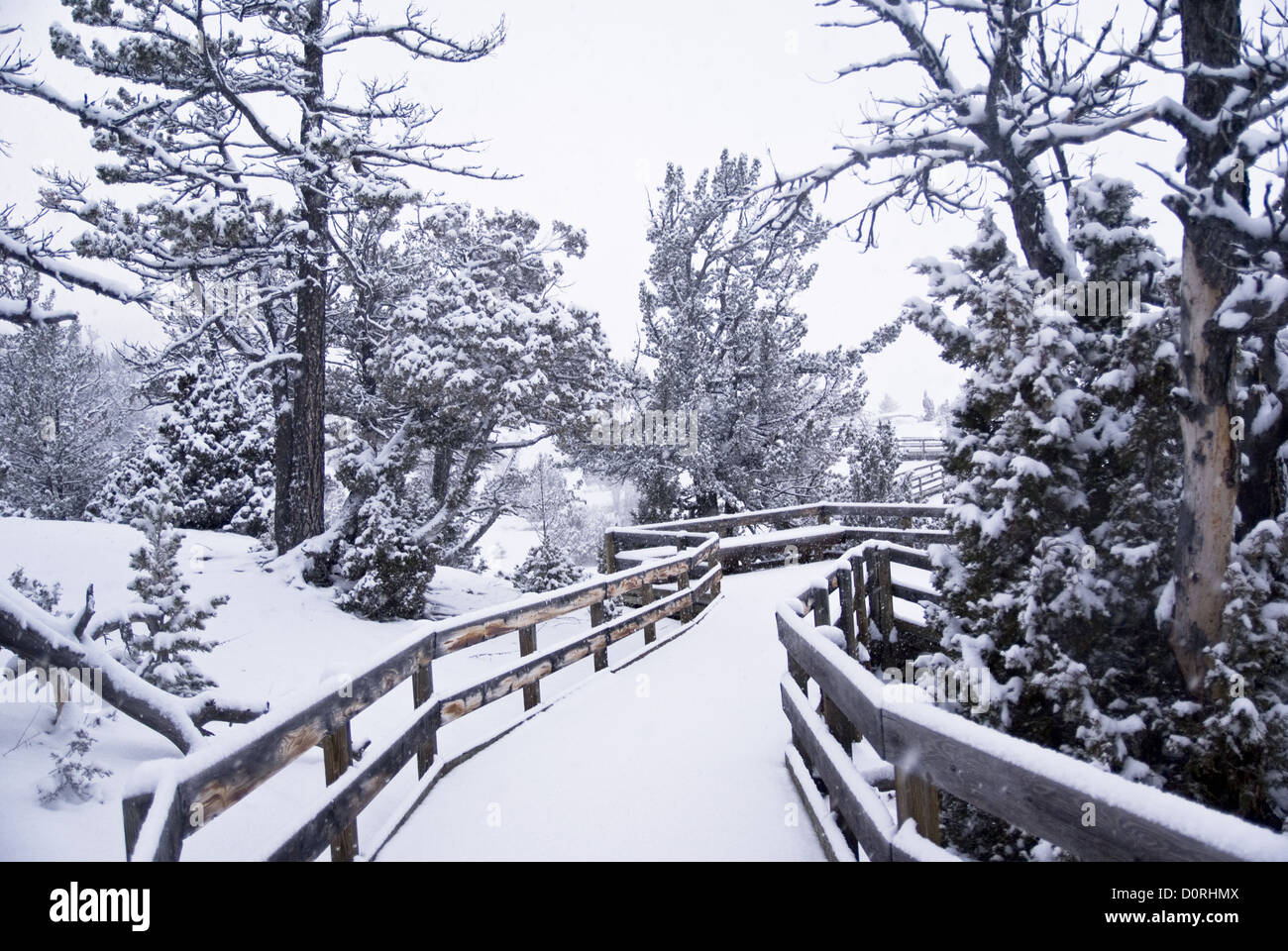 United states morning snowfall hi-res stock photography and images - Alamy