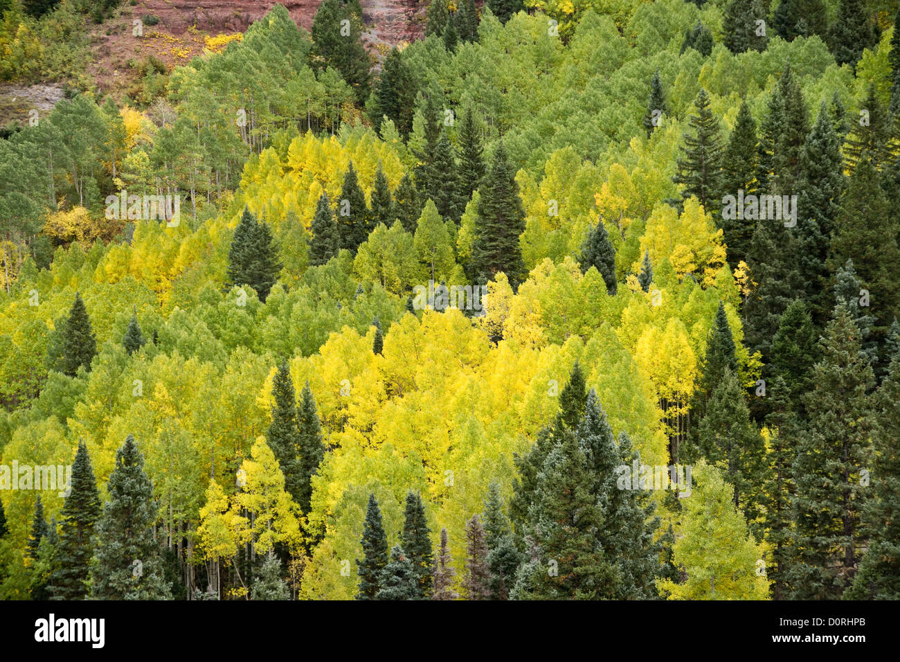 Country color hi-res stock photography and images - Alamy