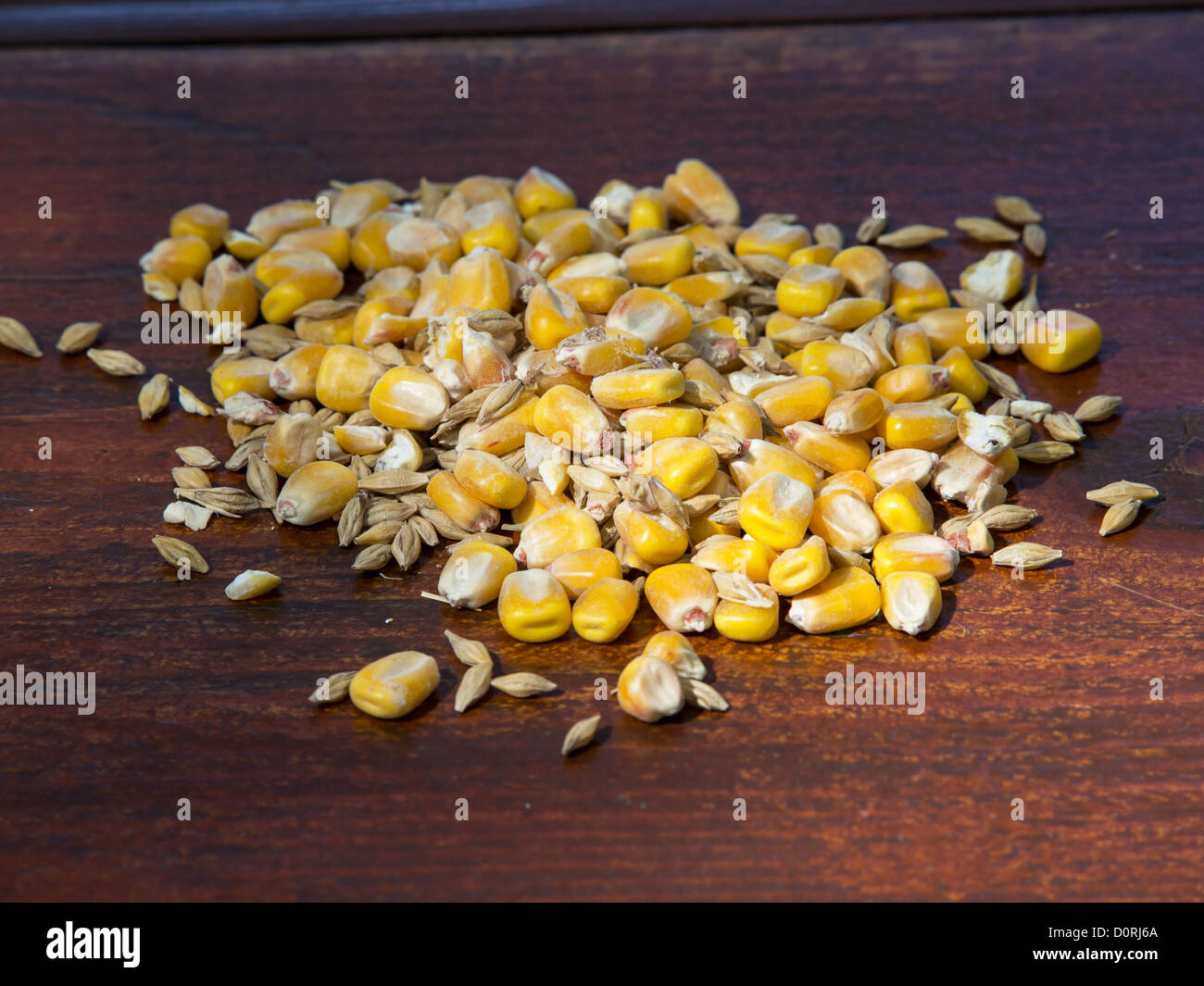 Maize seeds hi-res stock photography and images - Alamy