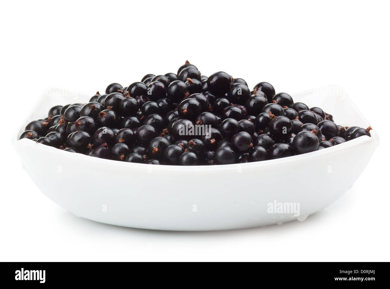 White currant white transparent berries hi-res stock photography and ...