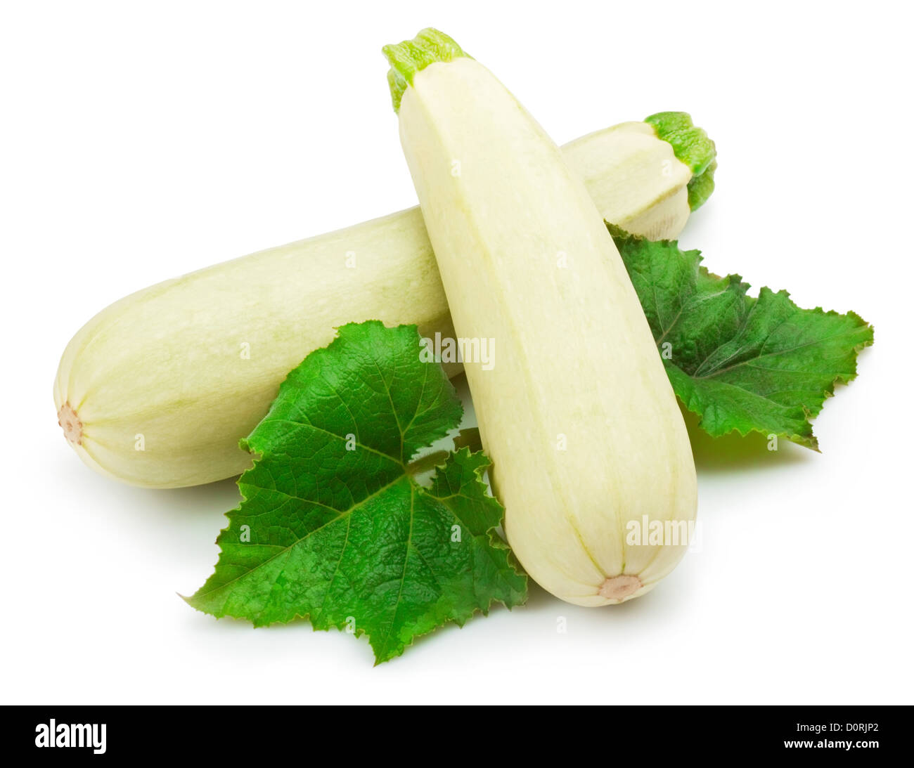 Spaghetti marrow hi-res stock photography and images - Alamy