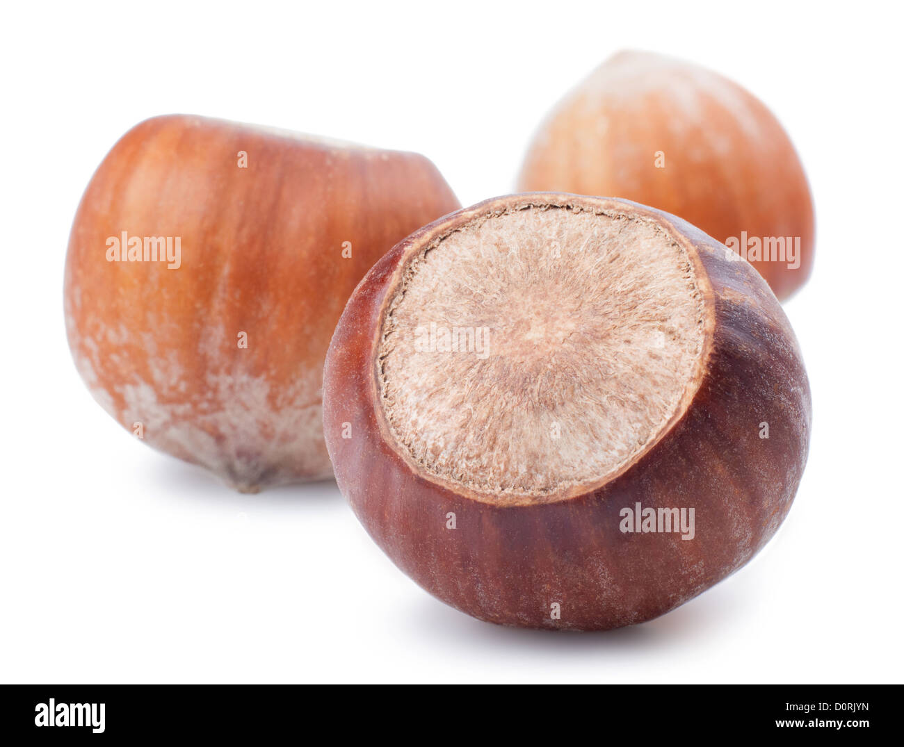 Filberts nuts hi-res stock photography and images - Alamy