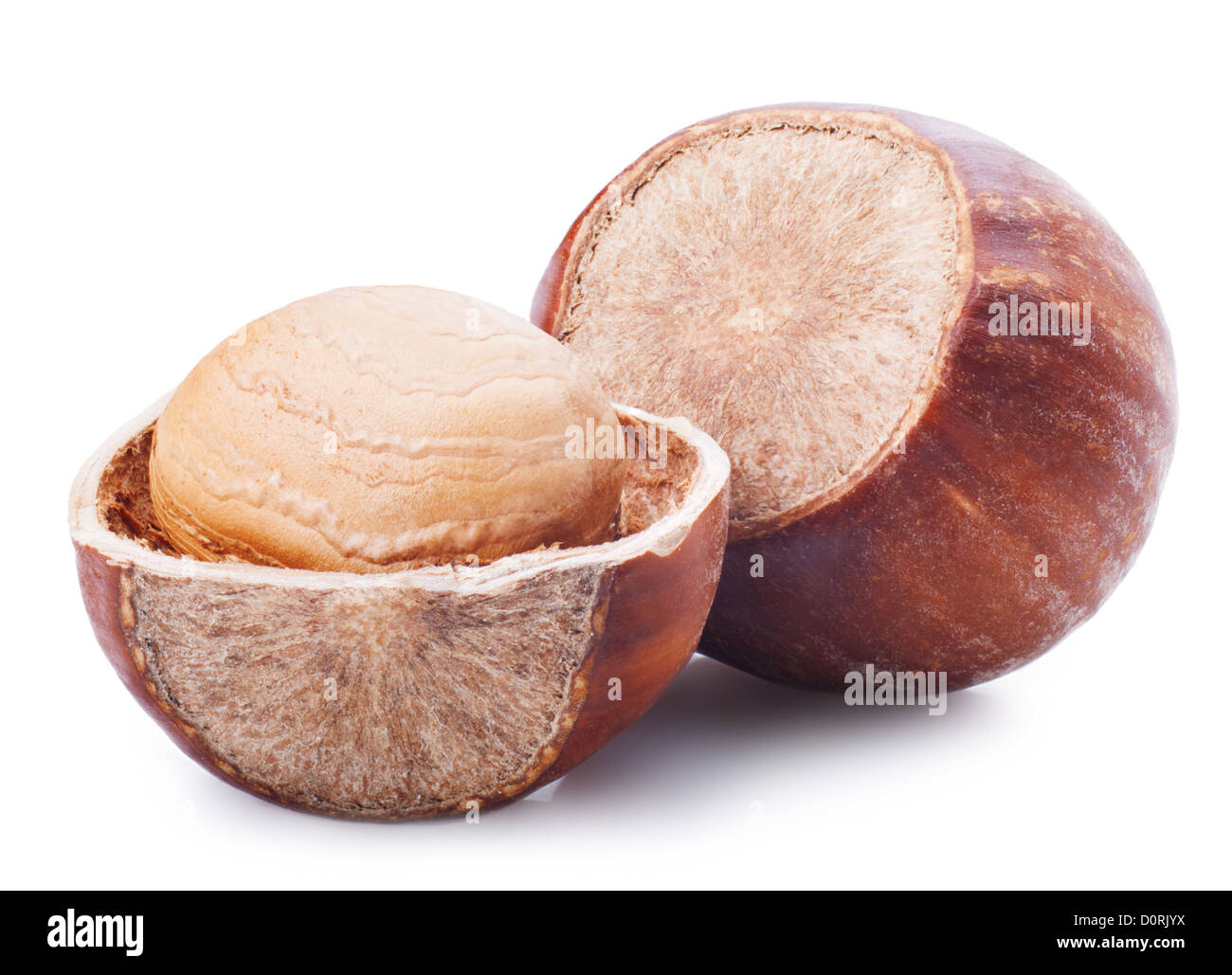 Nuts filberts on white background Stock Photo - Alamy