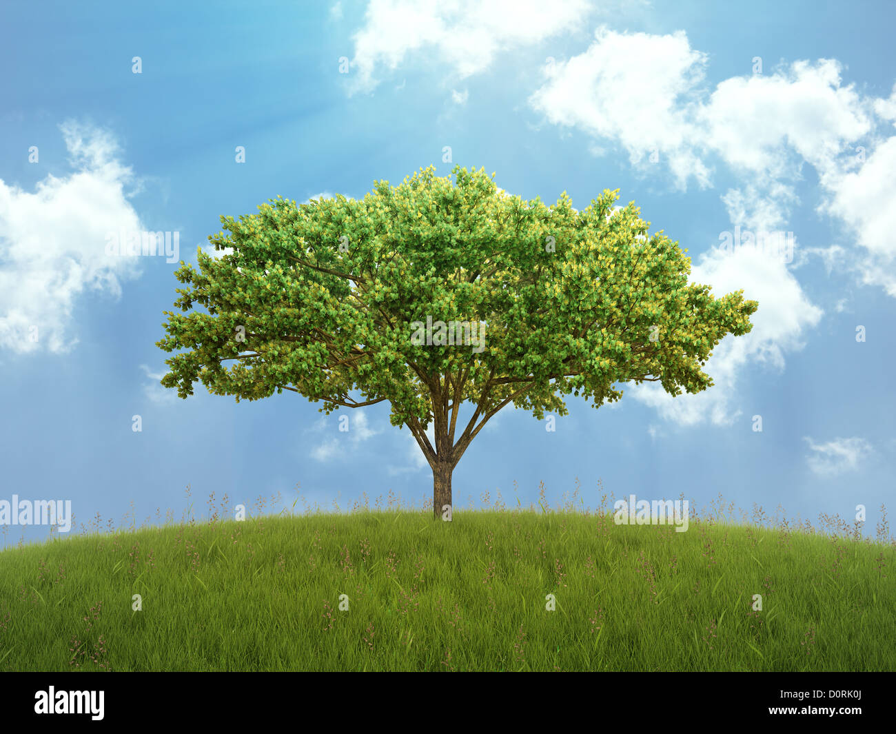 Solitary beauty hill hi-res stock photography and images - Alamy