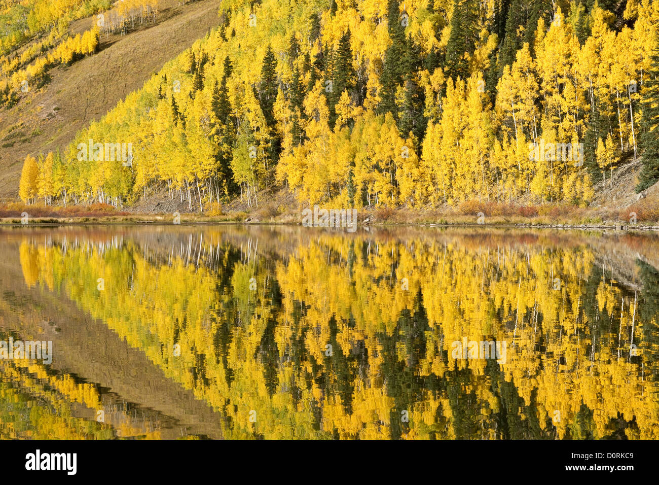 Fall foliage water reflections hi-res stock photography and images - Alamy