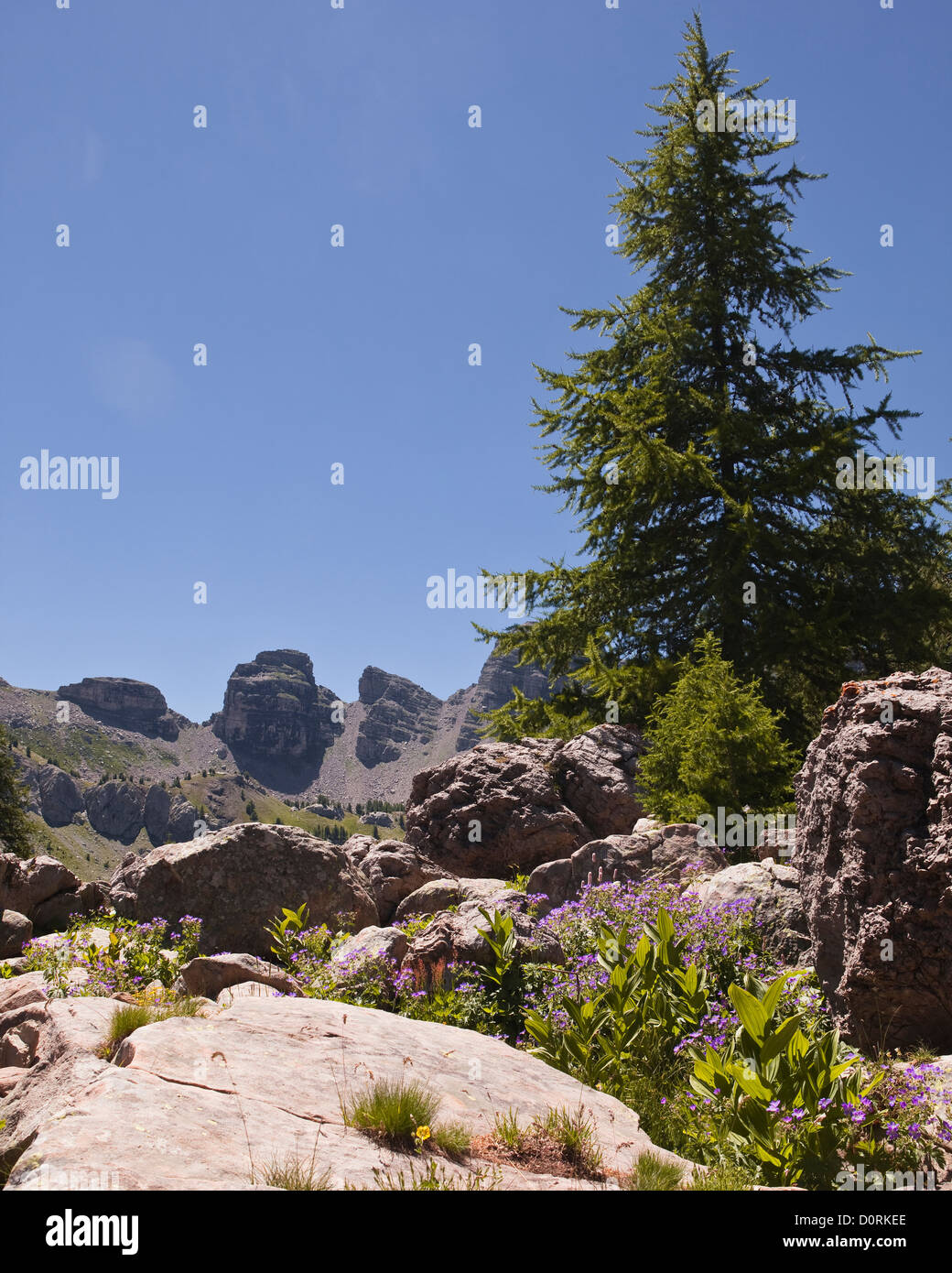 Col De Allos High Resolution Stock Photography and Images - Alamy