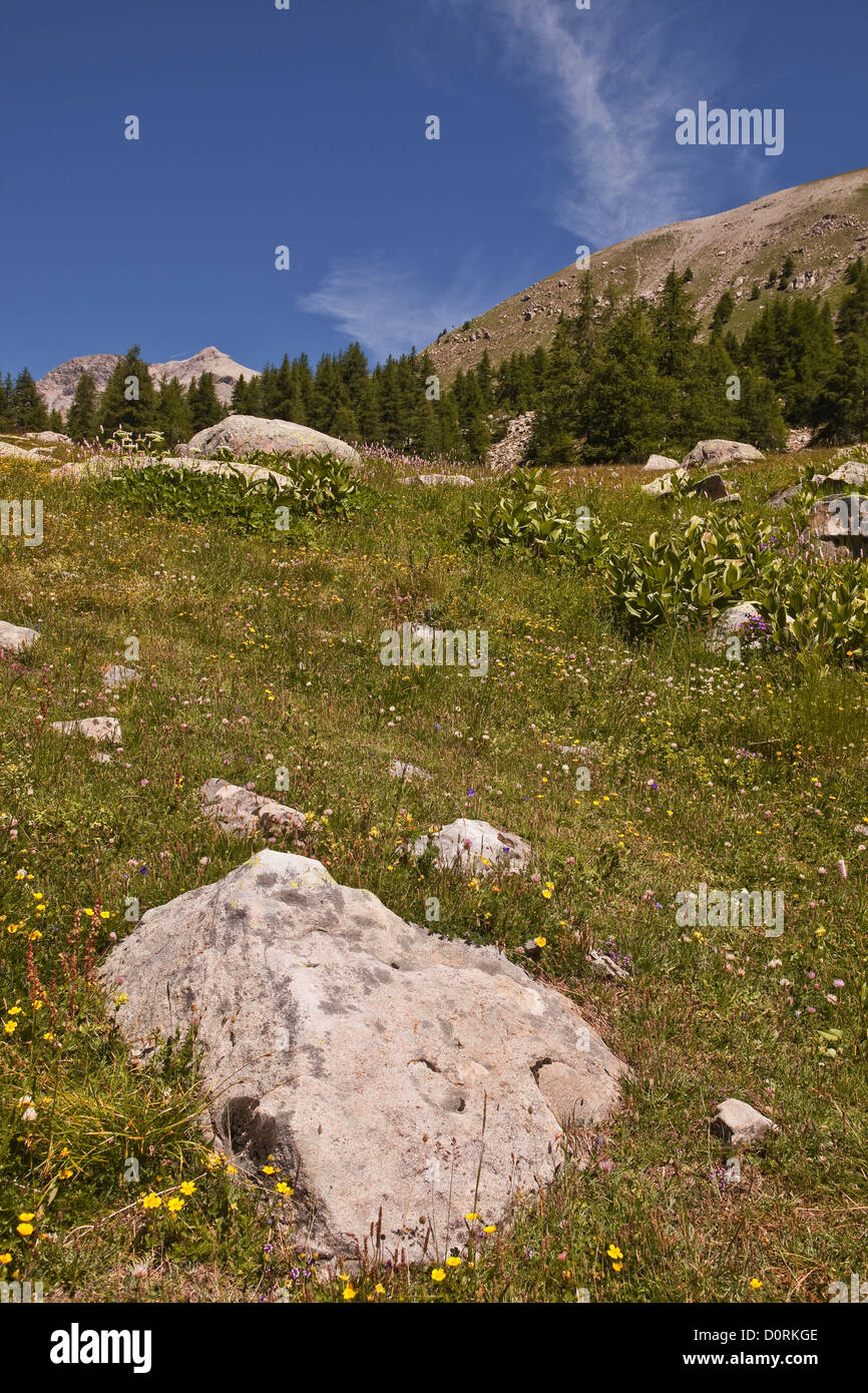 Col De Allos High Resolution Stock Photography and Images - Alamy