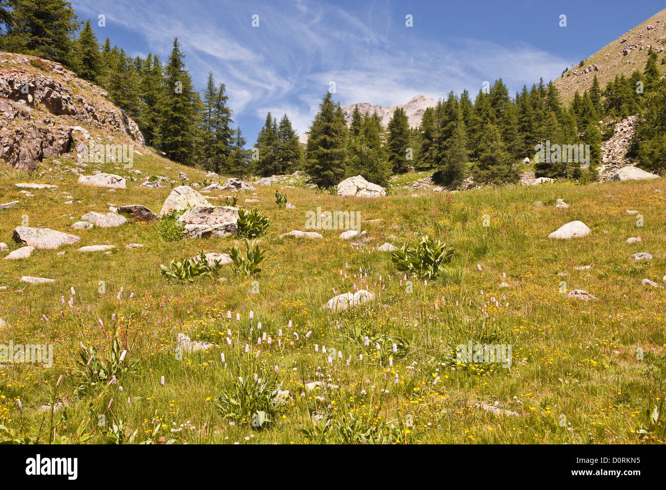 Col de allos hi-res stock photography and images - Alamy