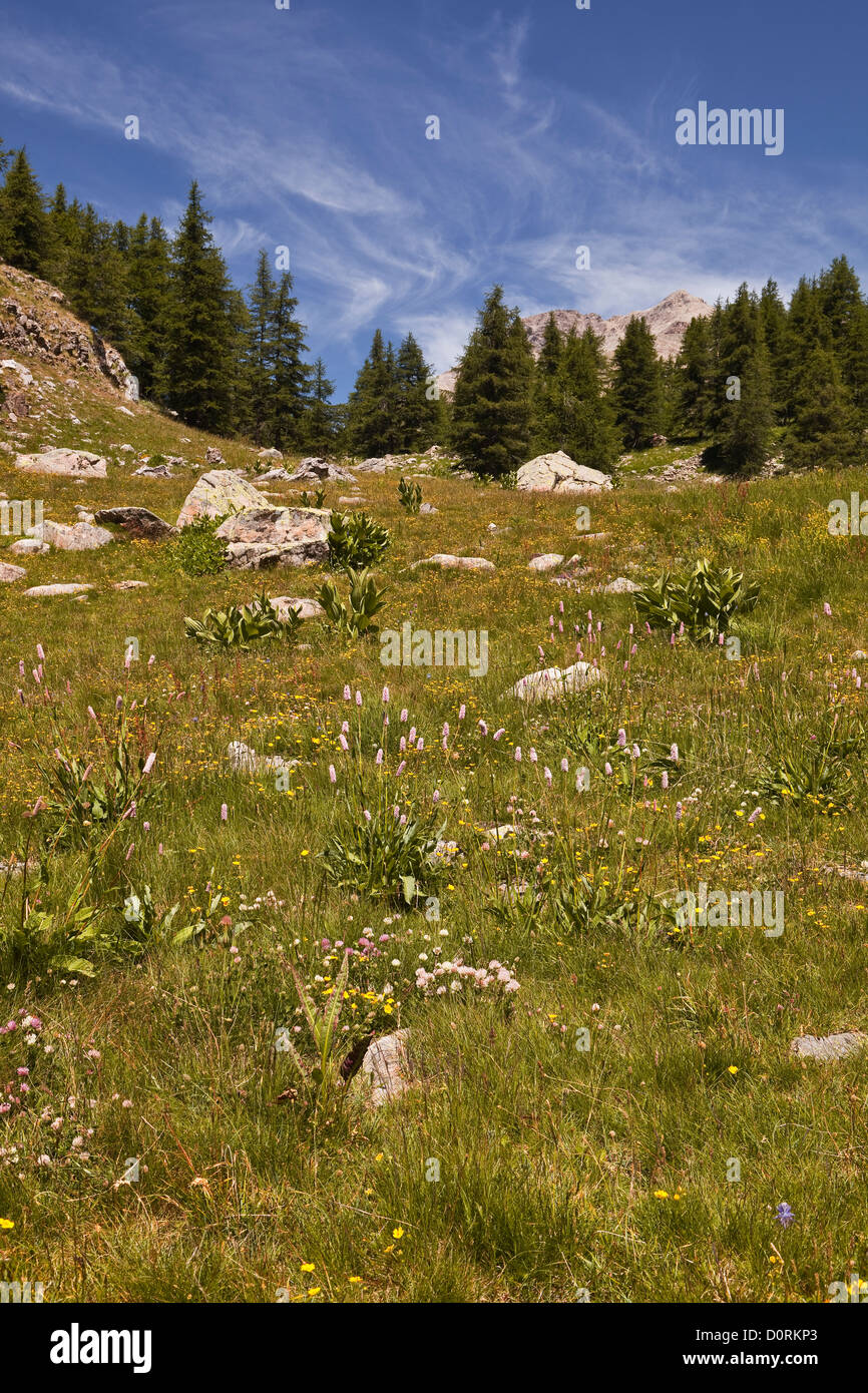 Col de allos hi-res stock photography and images - Alamy