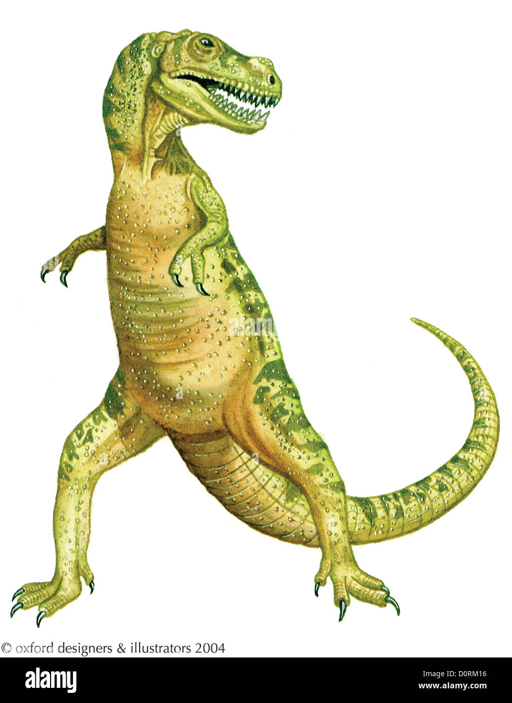 Tyrant lizard hi-res stock photography and images - Alamy