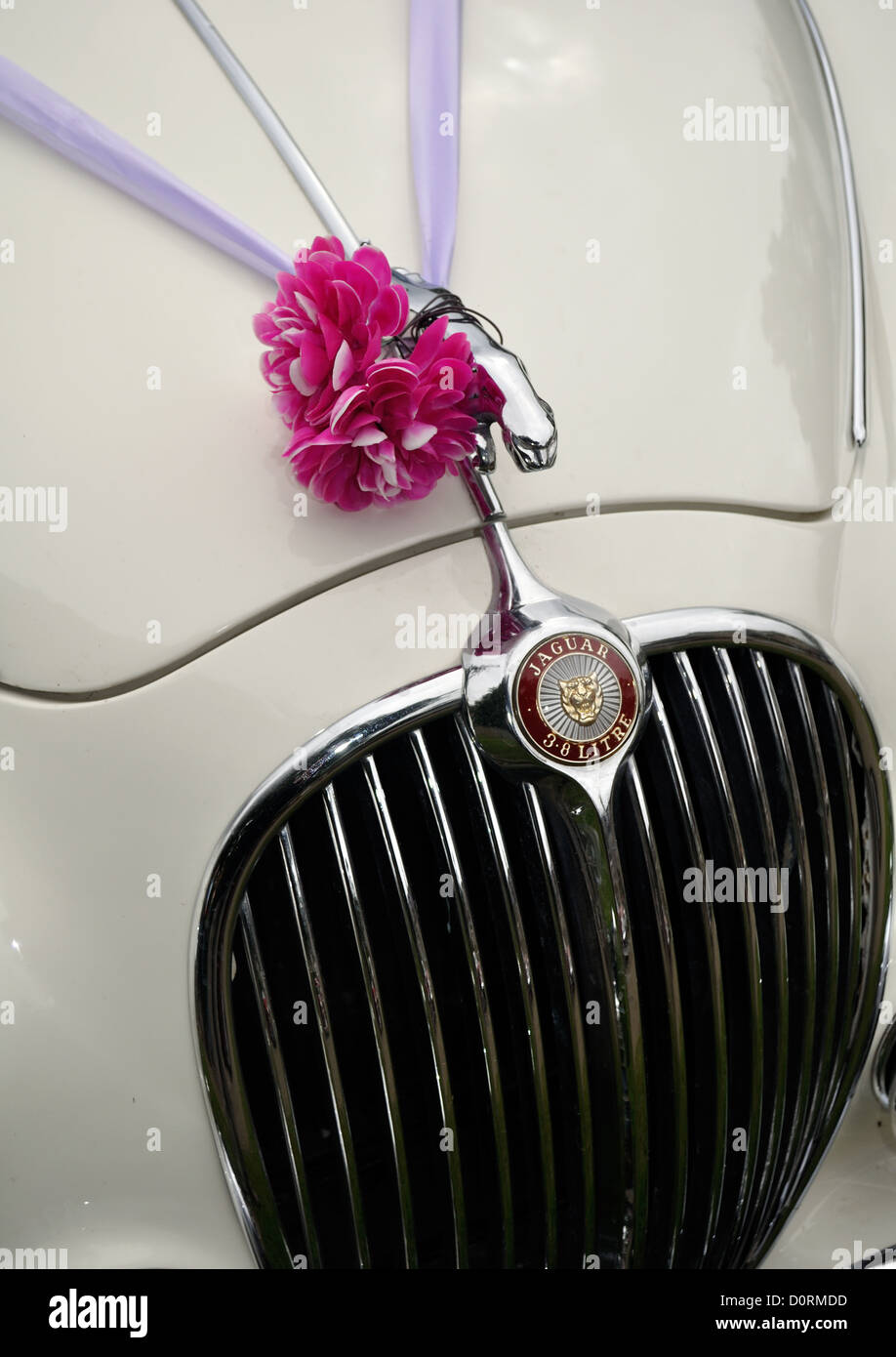 Jaguar wedding car hi res stock photography and images Alamy