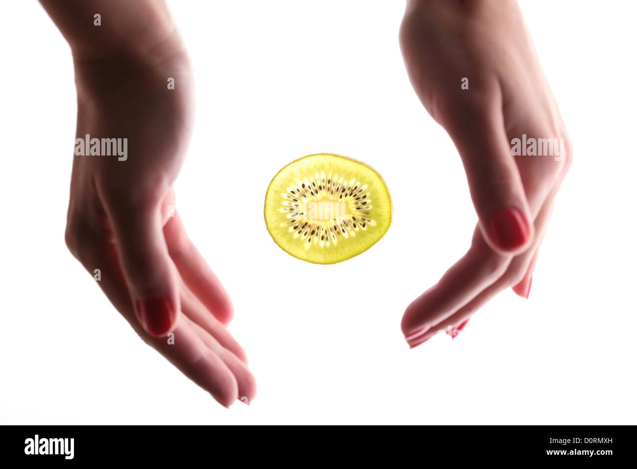 Exotic study Cut Out Stock Images & Pictures - Alamy