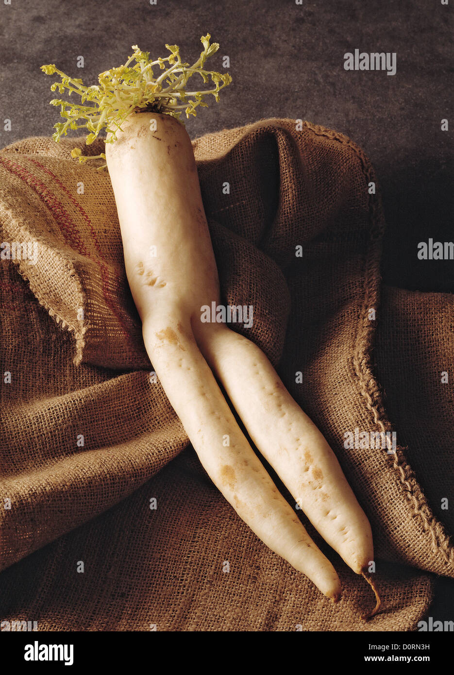 Radish as a human body Stock Photo - Alamy