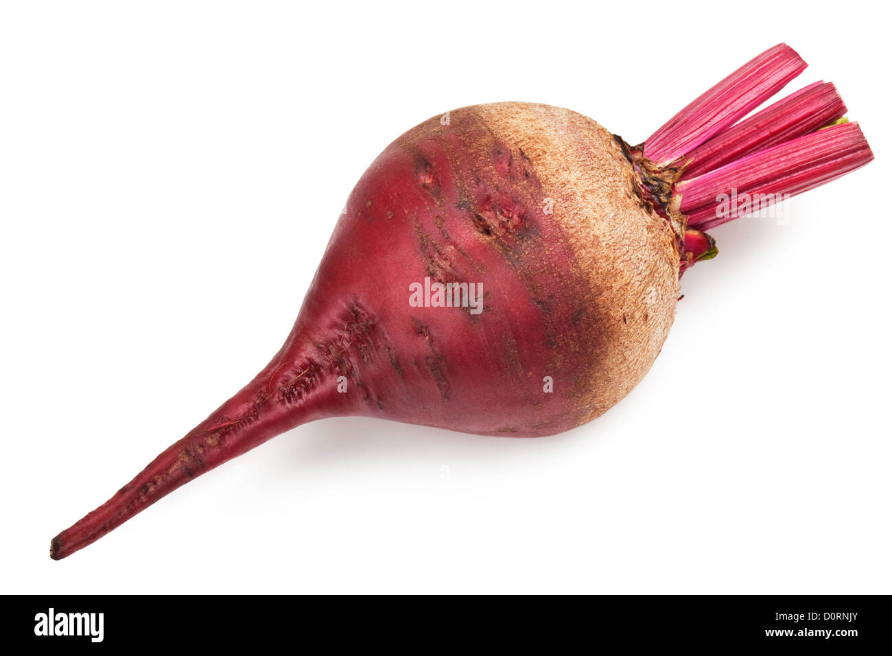 Beet harvest Cut Out Stock Images & Pictures - Alamy