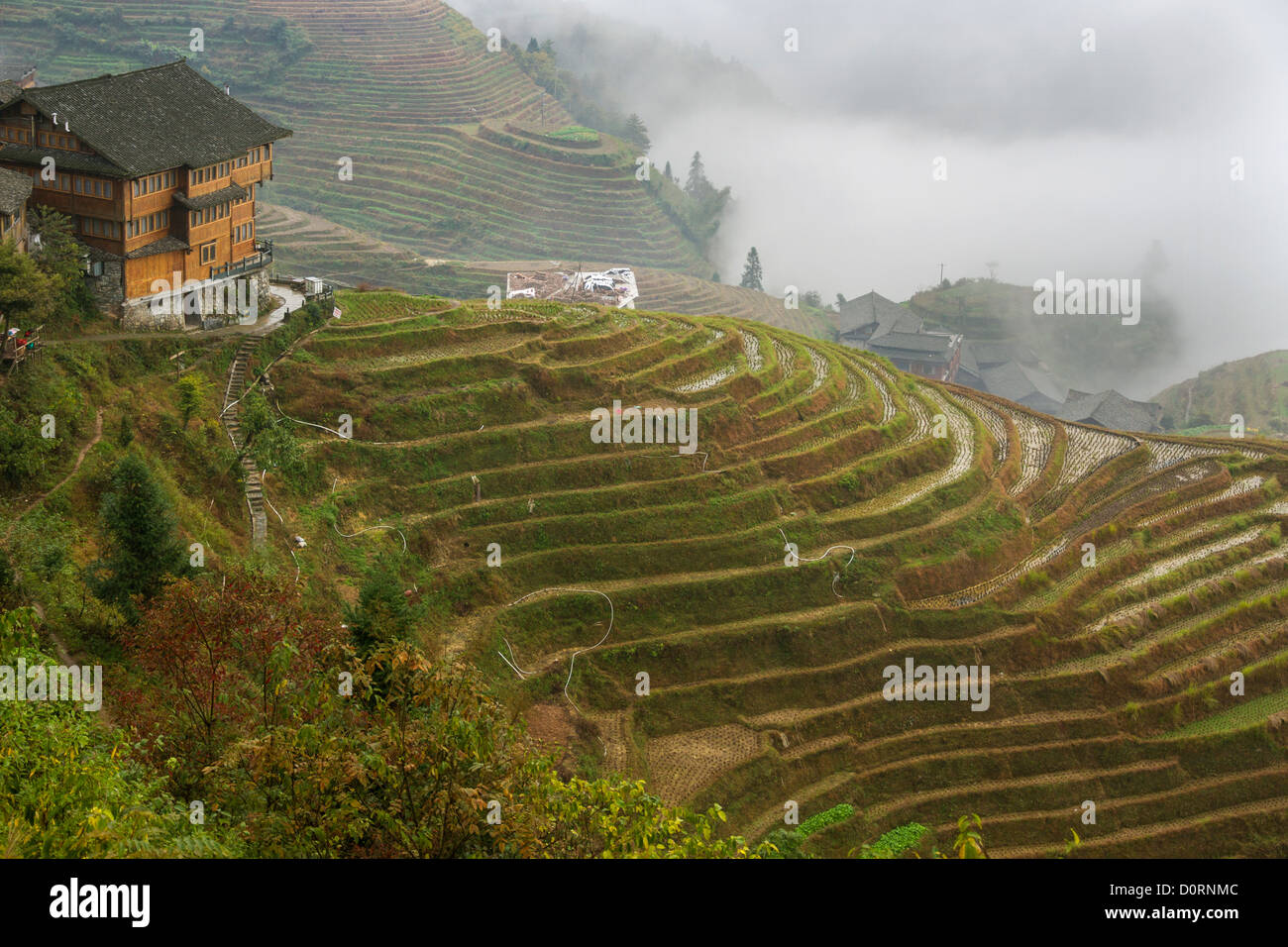 China Guangxi Longji, Ping An, Rice terraces Stock Photo - Alamy