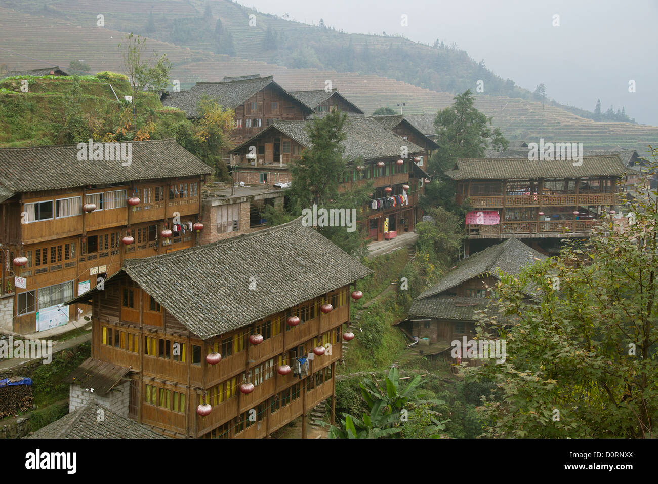 Longji rice terraces ping hi-res stock photography and images - Alamy