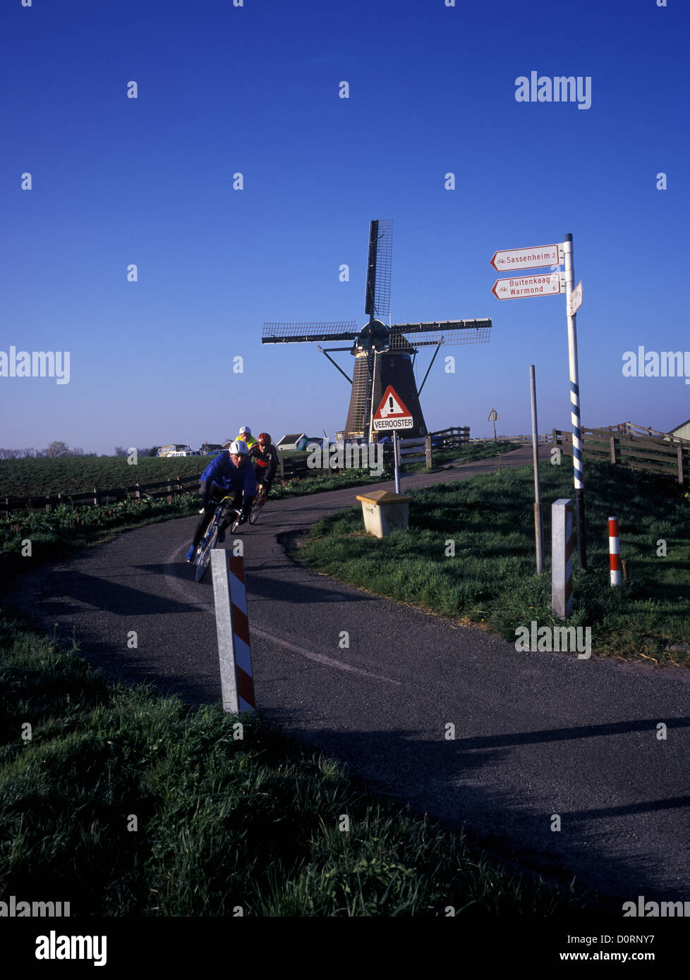 Netherlands, Sassenheim, cycle path, cyclists and the ubiquitous ...