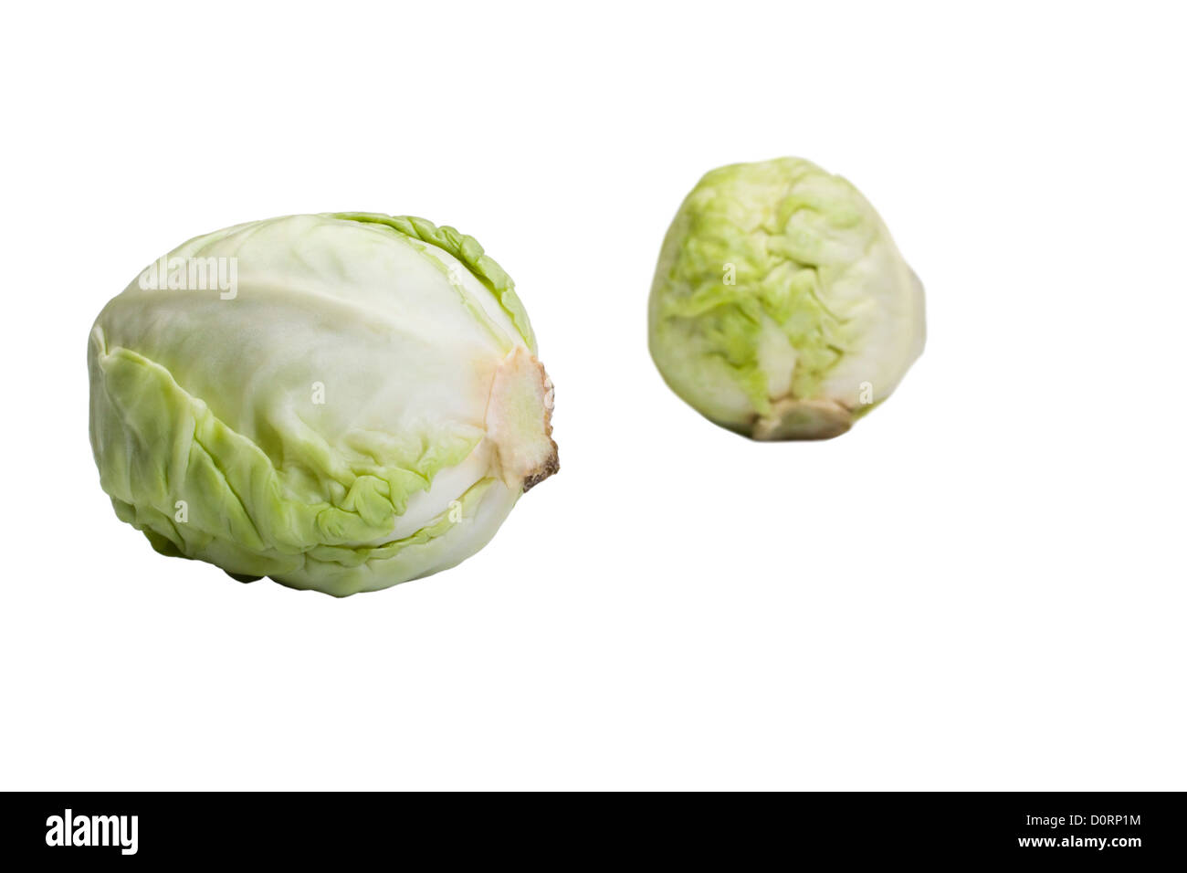 Cabbages india hi-res stock photography and images - Alamy