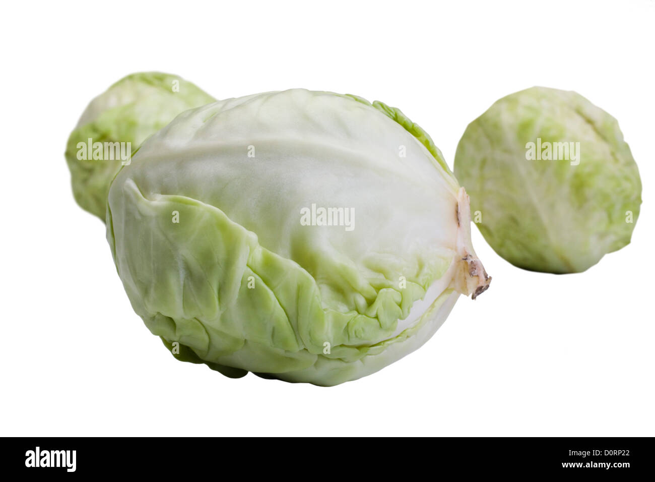 Cabbages india hi-res stock photography and images - Alamy