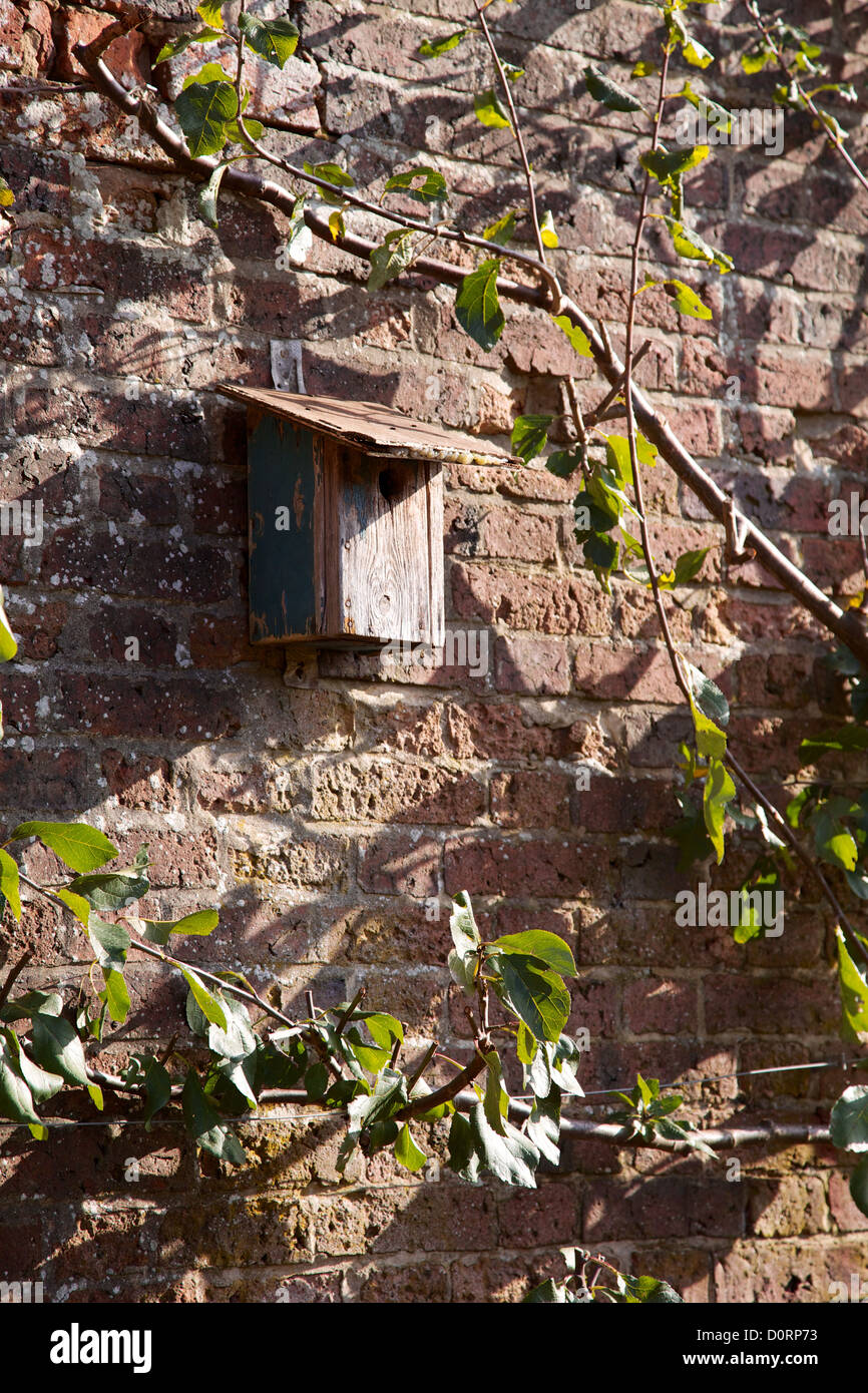 Old wooded bird box on Victorian brick wall with foliage Stock Photo ...