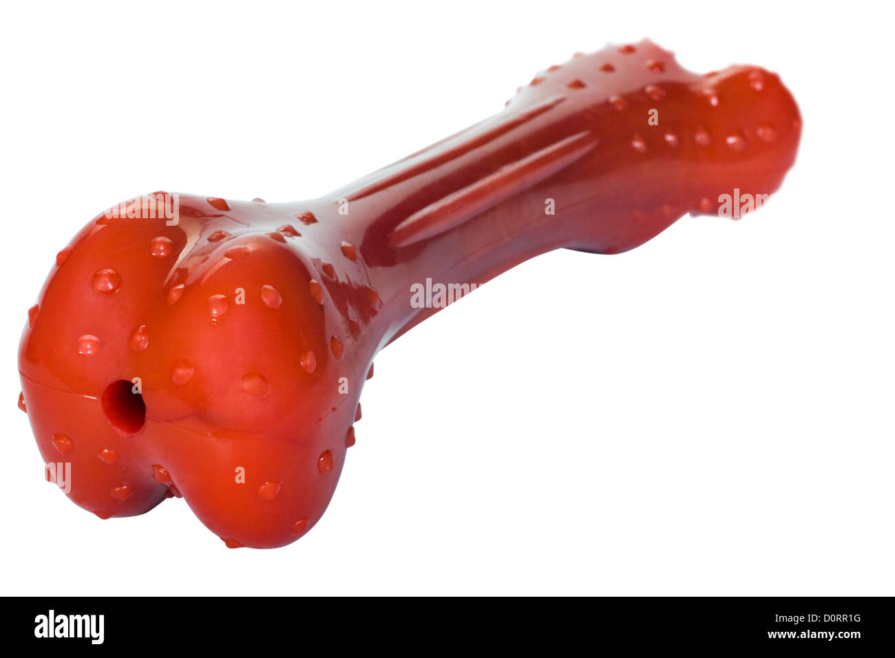 Close-up of a dog bone Stock Photo - Alamy