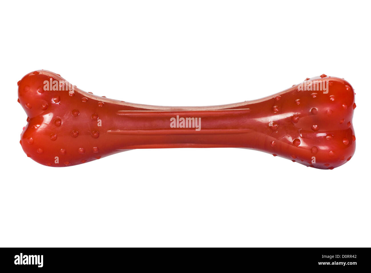 Close-up of a dog bone Stock Photo - Alamy