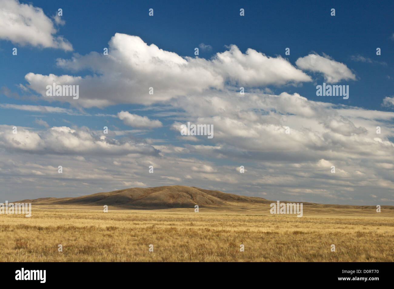 The midday sun in steppe summer day Stock Photo - Alamy