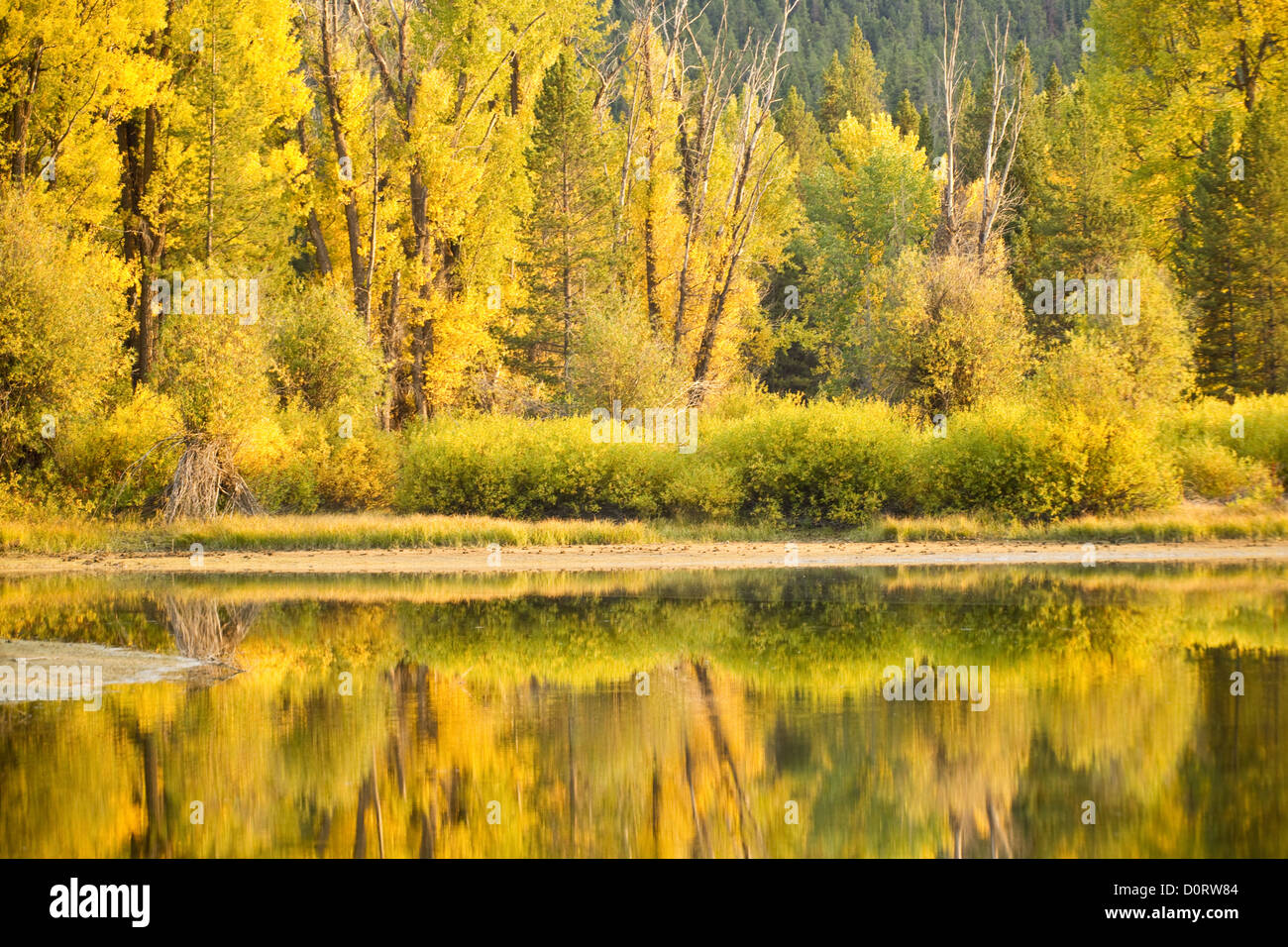 On Golden Pond Stock Photo - Alamy