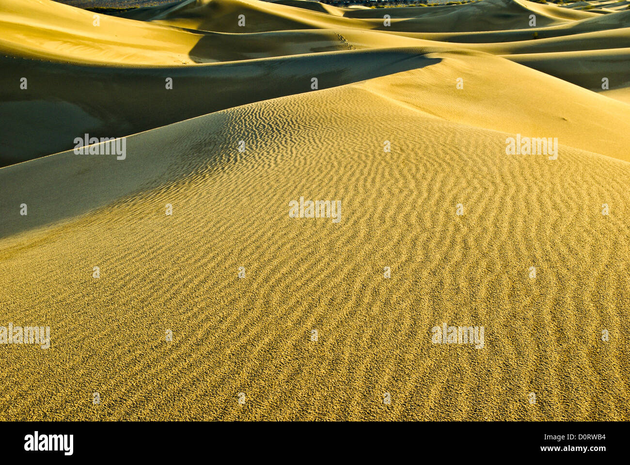 Sand Dunes at Sunset Stock Photo - Alamy