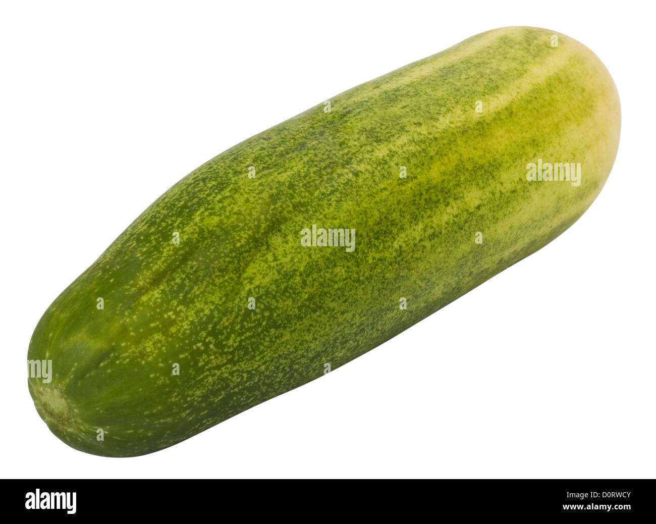 Close-up of a fresh green cucumber Stock Photo - Alamy