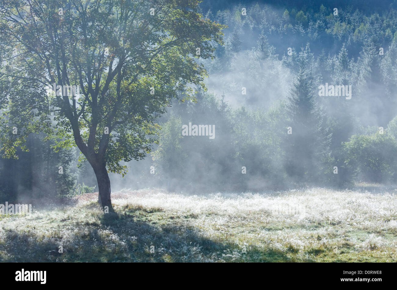 Landscape misty morning hi-res stock photography and images - Alamy