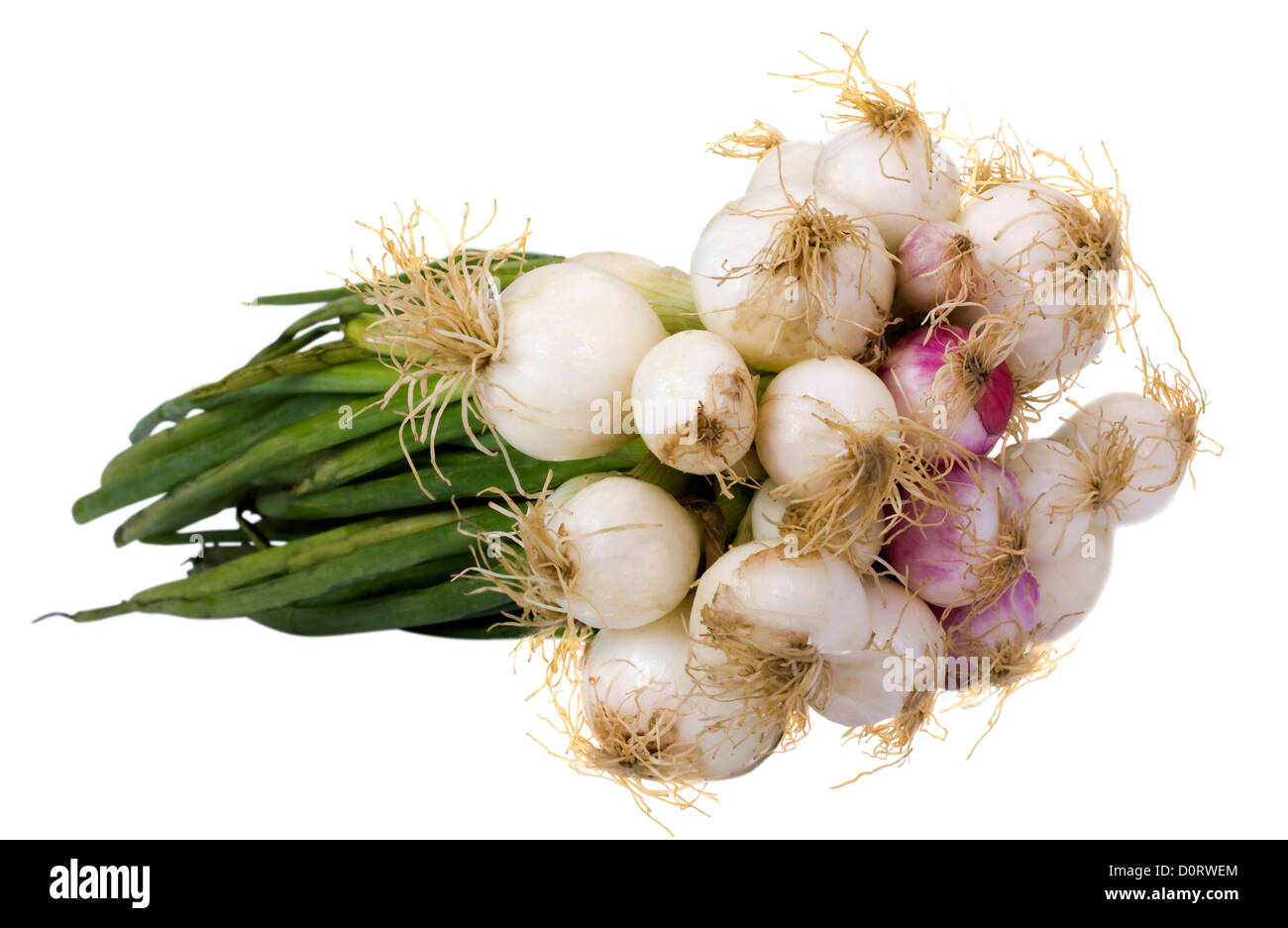 Bunch spring onions hi-res stock photography and images - Alamy