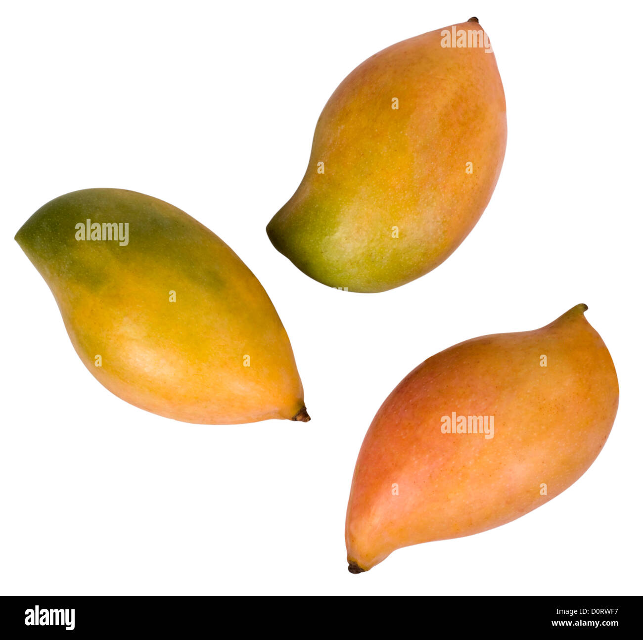 Close-up of mangoes Stock Photo - Alamy
