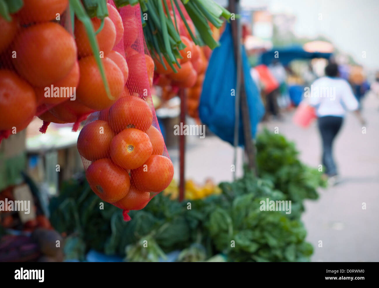Alexandra, Johannesburg African market scene with shack and tomatoes ...